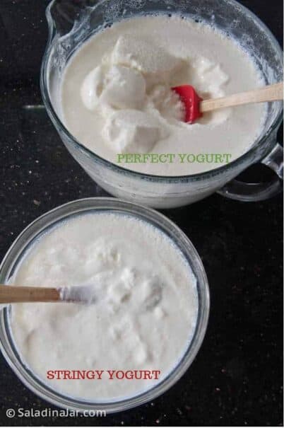 Why is My Homemade Yogurt Slimy?