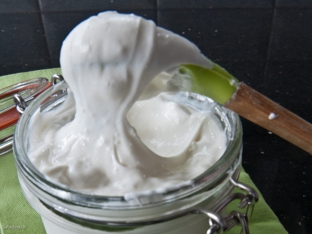 31 Top Questions About Making Yogurt at Home