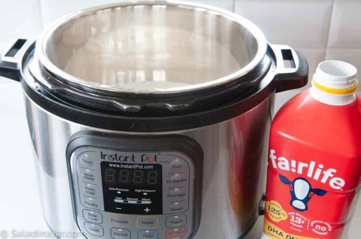 Cold Start Yogurt: Make it with or Without an Instant Pot (+Video)