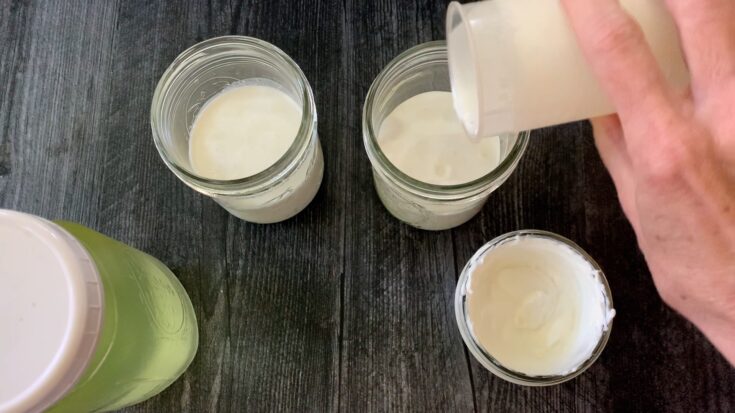 Easy Homemade Creme Fraiche with Yogurt or Yogurt Whey