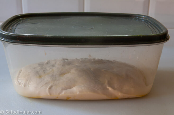 Authentic Ciabatta Bread Machine Recipe with Biga Starter