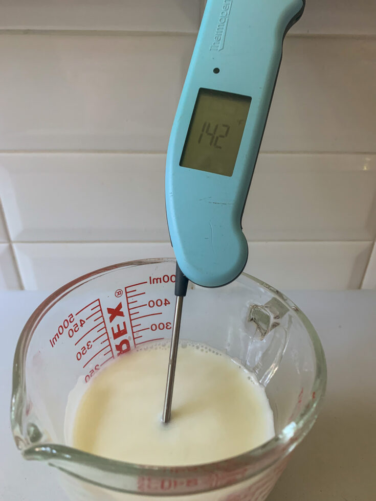 How to Use a Digital Thermometer for Perfect Bread Every Time