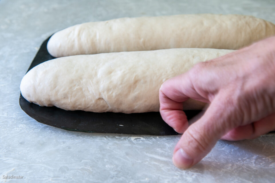Overproofed Dough in a Bread Machine: What, Why, and How To Fix It