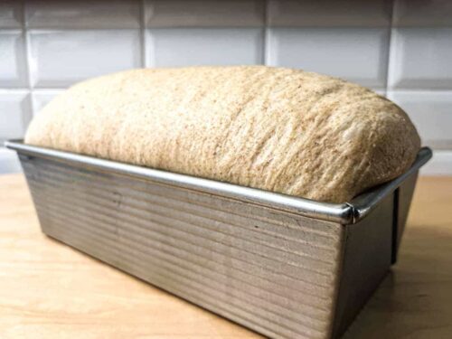 How to Proof Dough in a Microwave: Winter Baking Tips